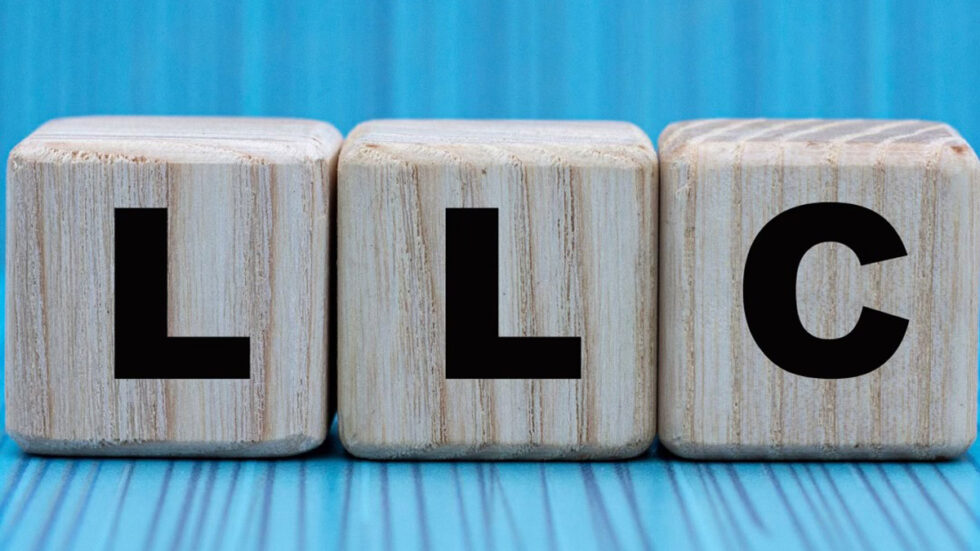 LLC 101: What is a Limited Liability Company